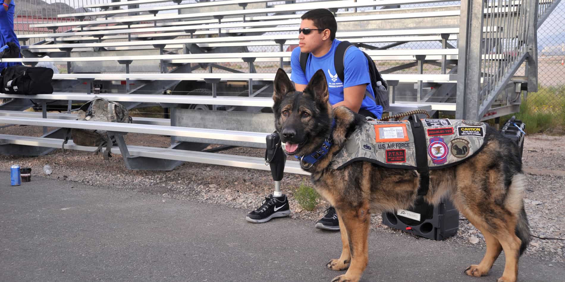 Service Dogs for Vets | Bringing Hope and a New Future