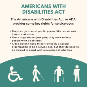 americans-with-disabilities-act-infographic - Dogs for Vets