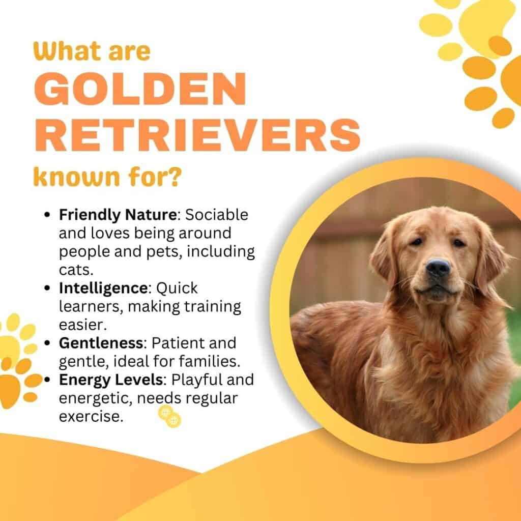Socializing Tips for Golden Retrievers: The Ultimate Playbook