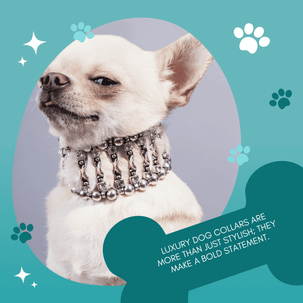 Luxury Dog Collars: A Peek into High-End Canine Fashion