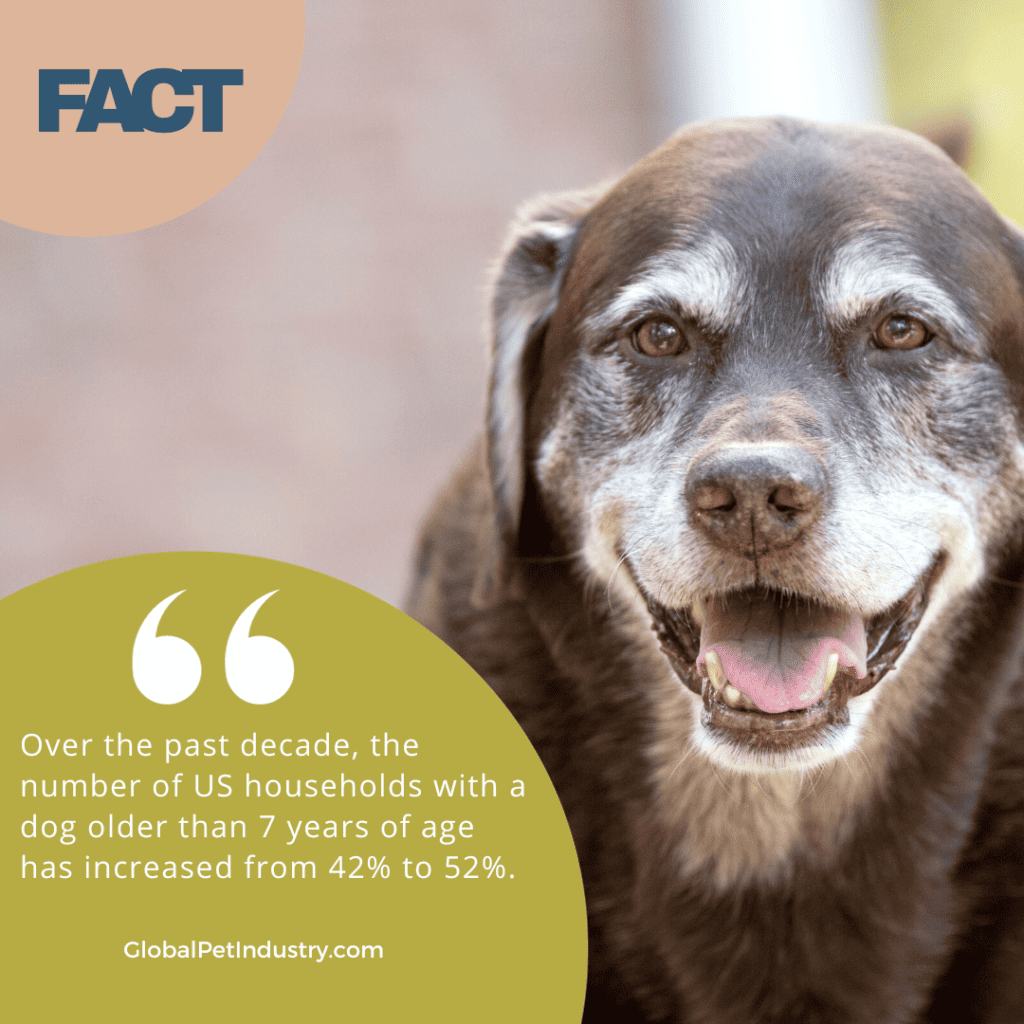 Problems with Older Dogs: Understanding Age-Related Challenges